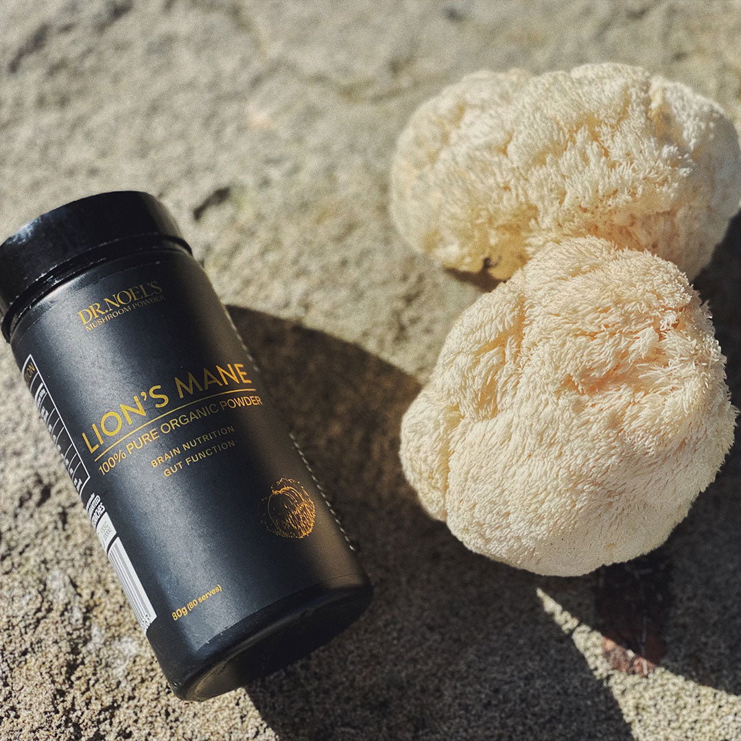 Organic Lion's Mane Powder | Enhance Brain Health & Menory – Dr Noel's ...